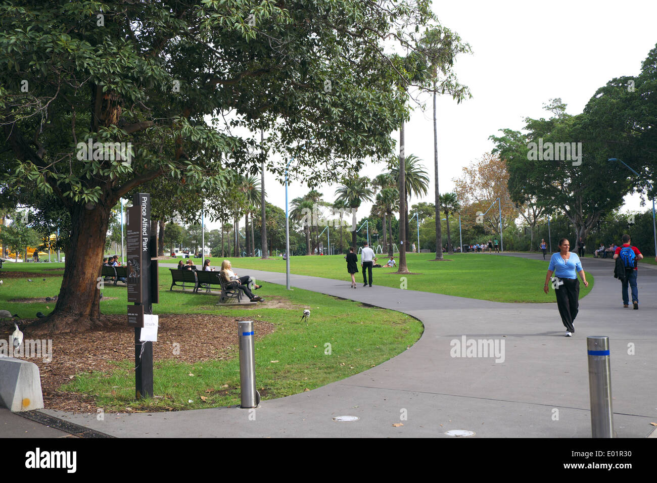 Prince Alfred Park, is a park in Surry Hills and contains sydney's ...