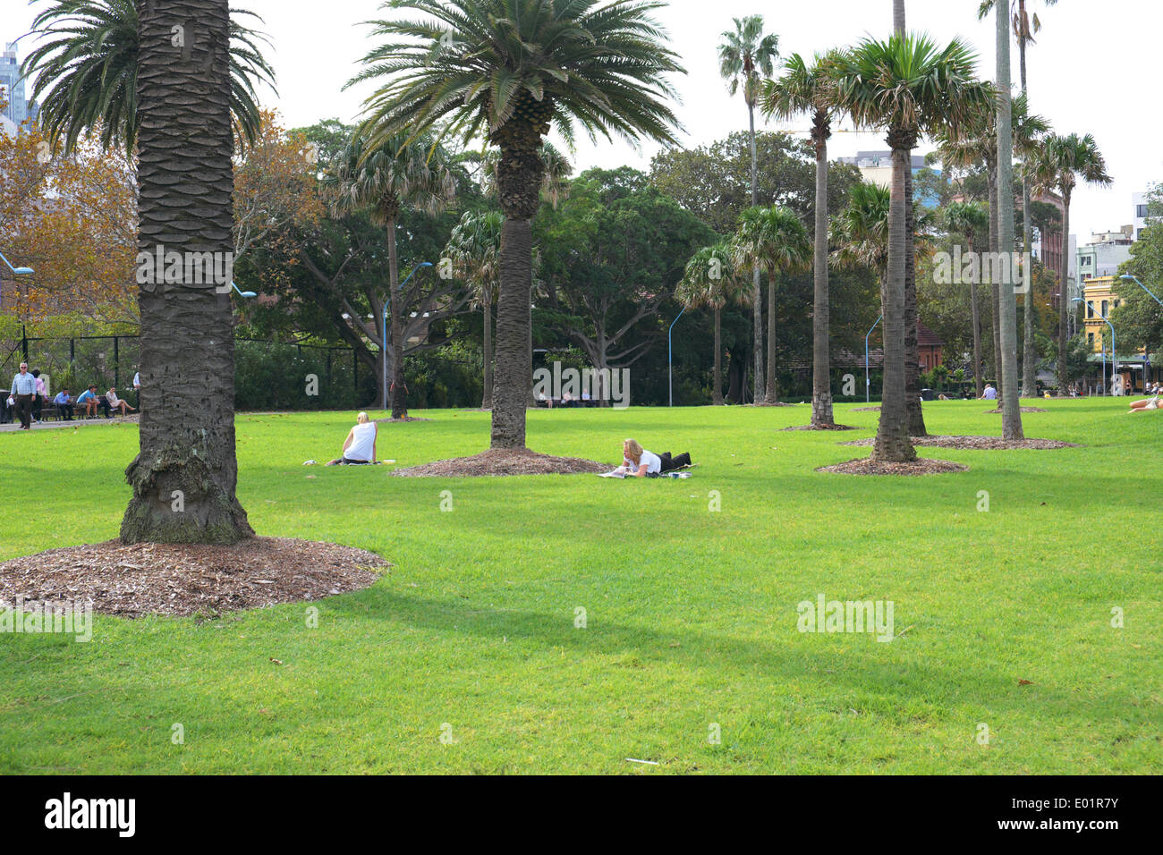 Prince Alfred Park, is a park in Surry Hills and contains sydney's ...