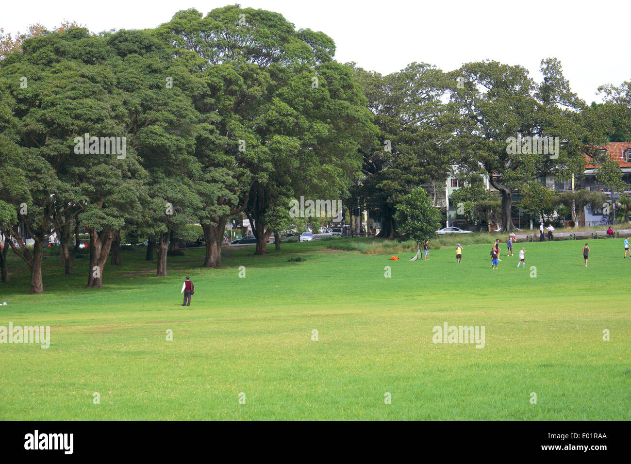 Prince Alfred Park, is a park in Surry Hills and contains sydney's ...