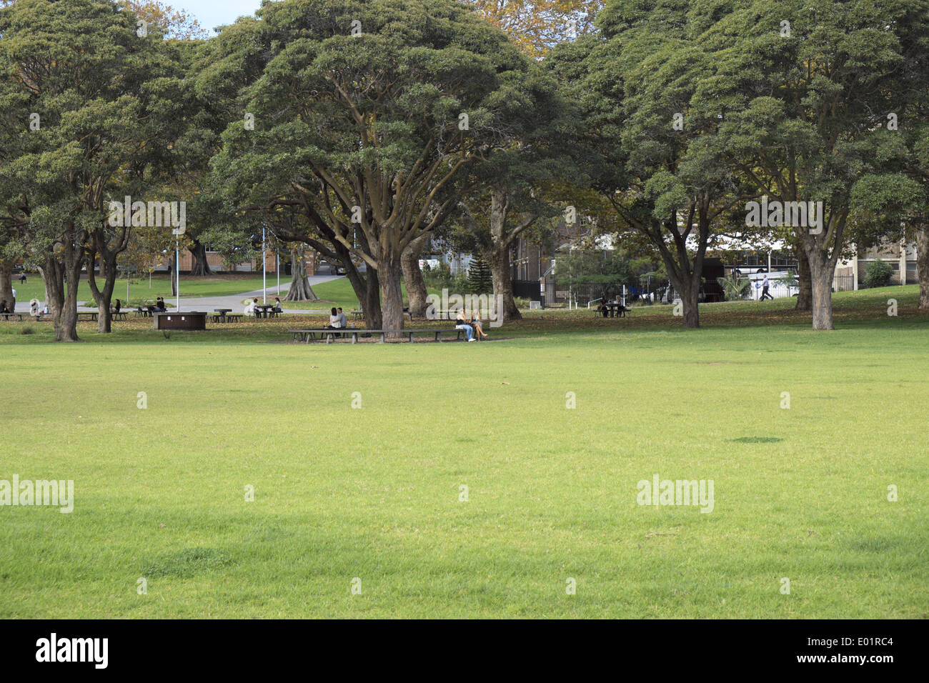 Prince Alfred Park, is a park in Surry Hills and contains sydney's ...