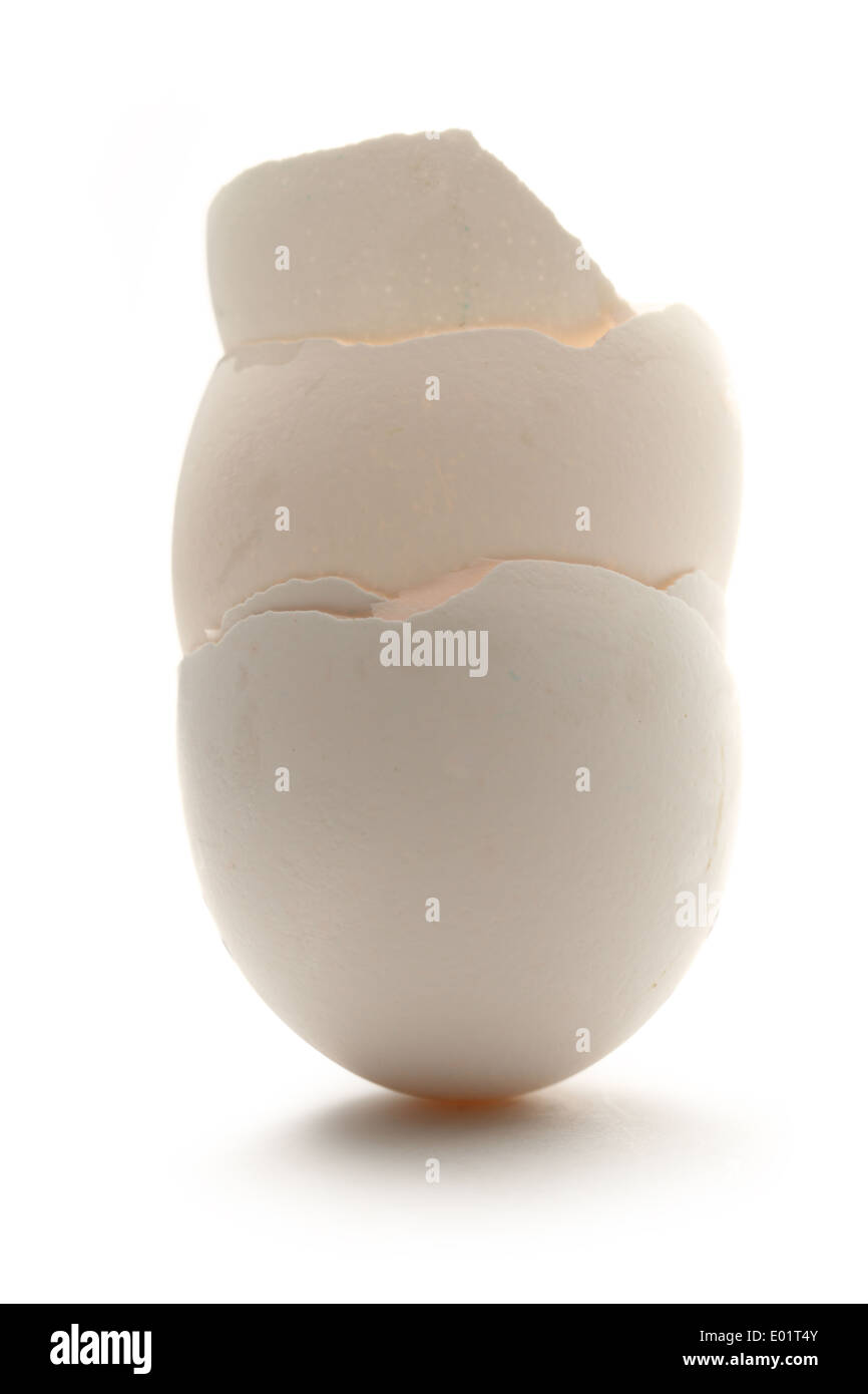 Eggshell on the white background Stock Photo - Alamy