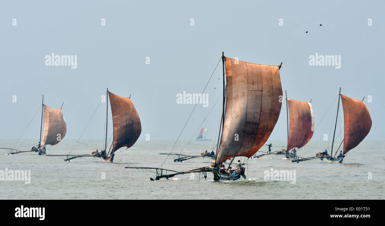Traditional Sri Lankan fishing boats under sail Stock Photo - Alamy