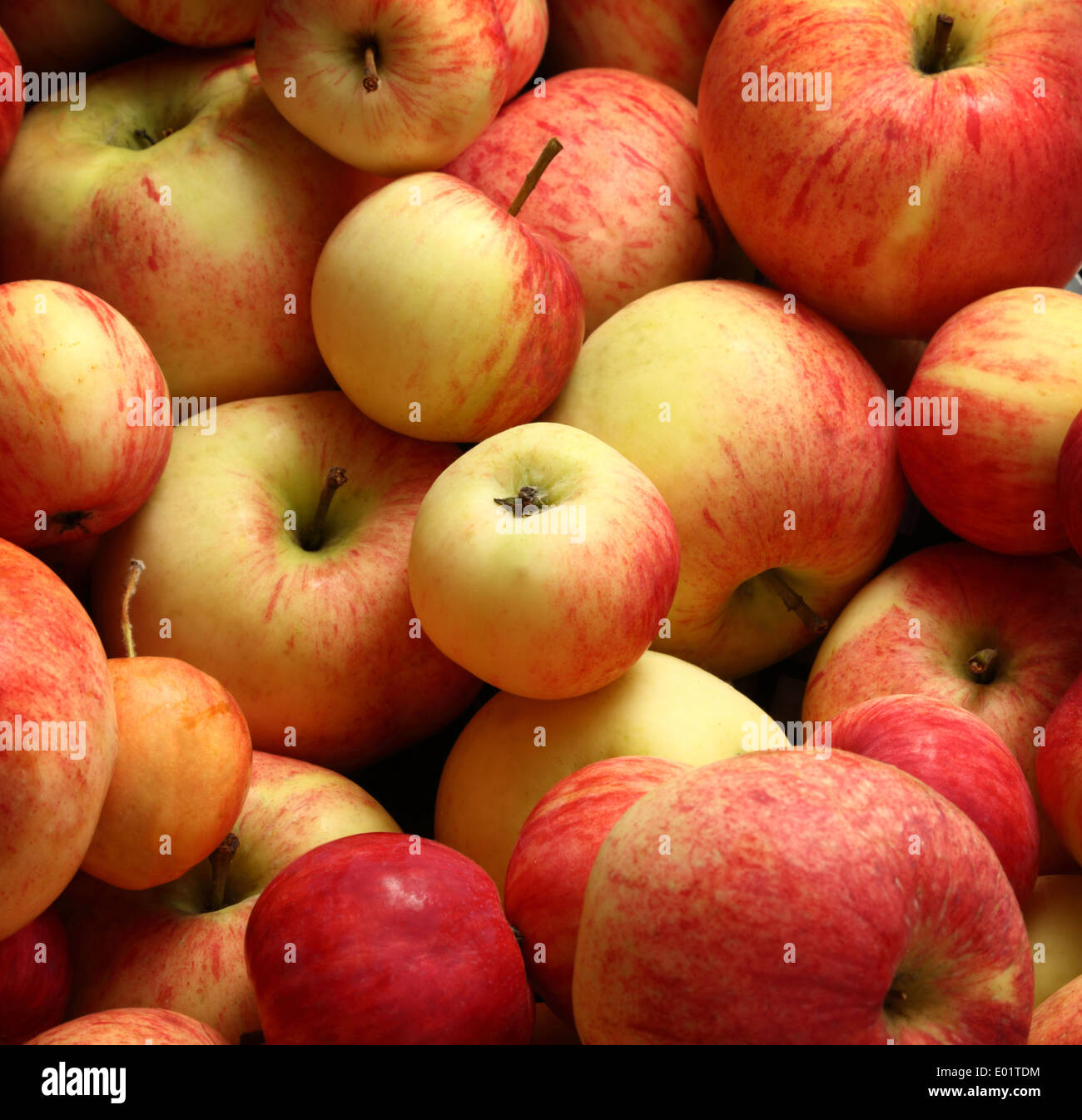 Fresh harvest of red apples Stock Photo - Alamy
