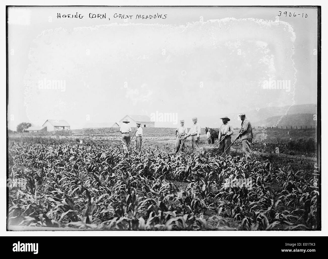 This photograph from the Library of Congress shows members of the 7th ...