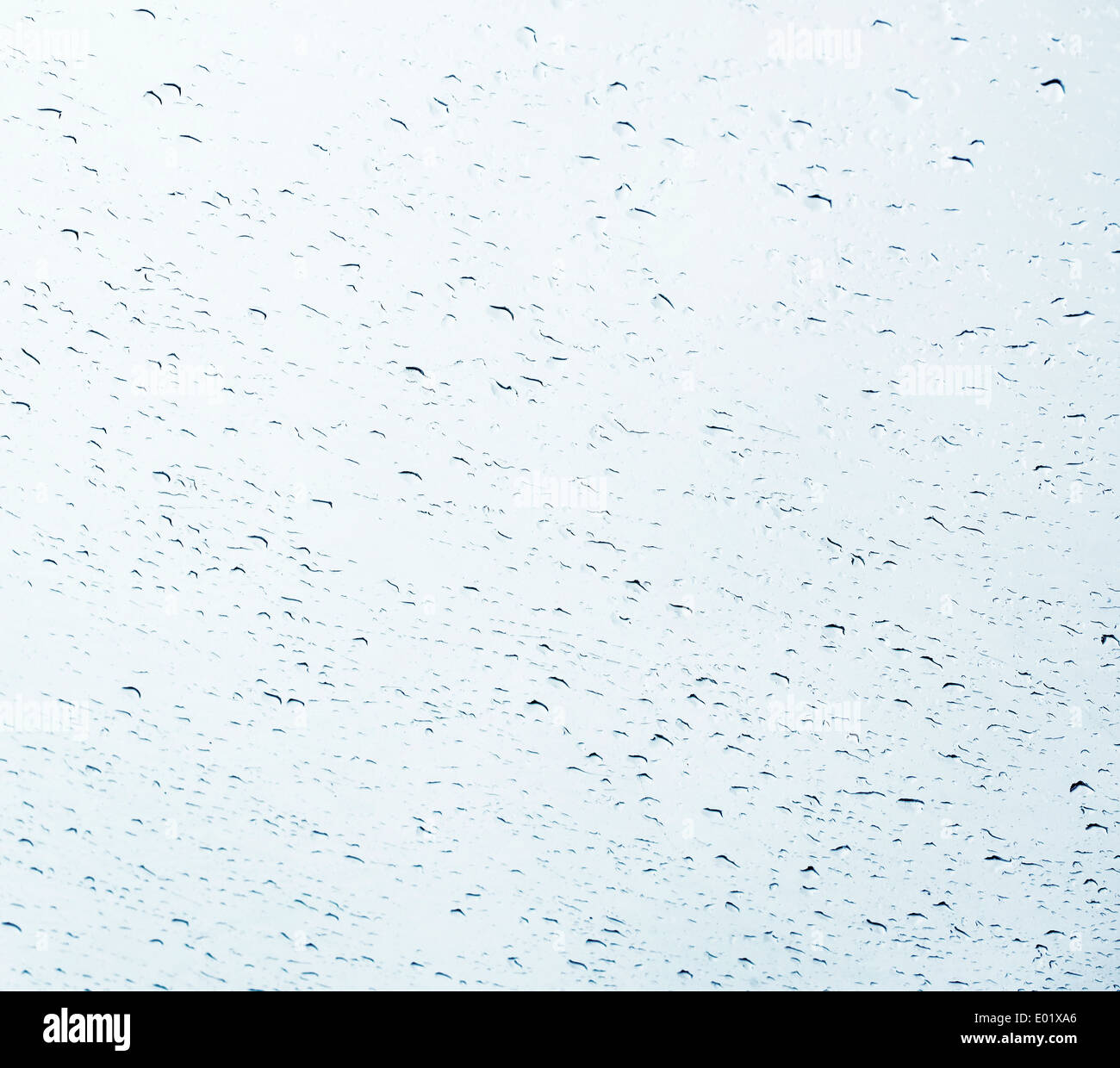 Rain soaked glass hi-res stock photography and images - Alamy