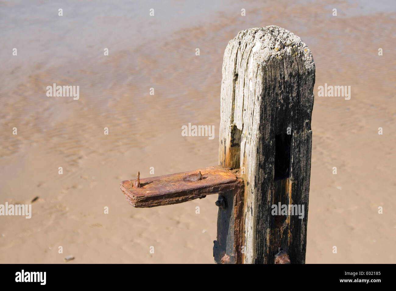 decaying wooden post on a beach Stock Photo - Alamy