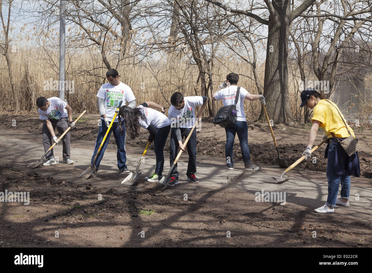 Community People Helping One Another In A Clean Up Drive