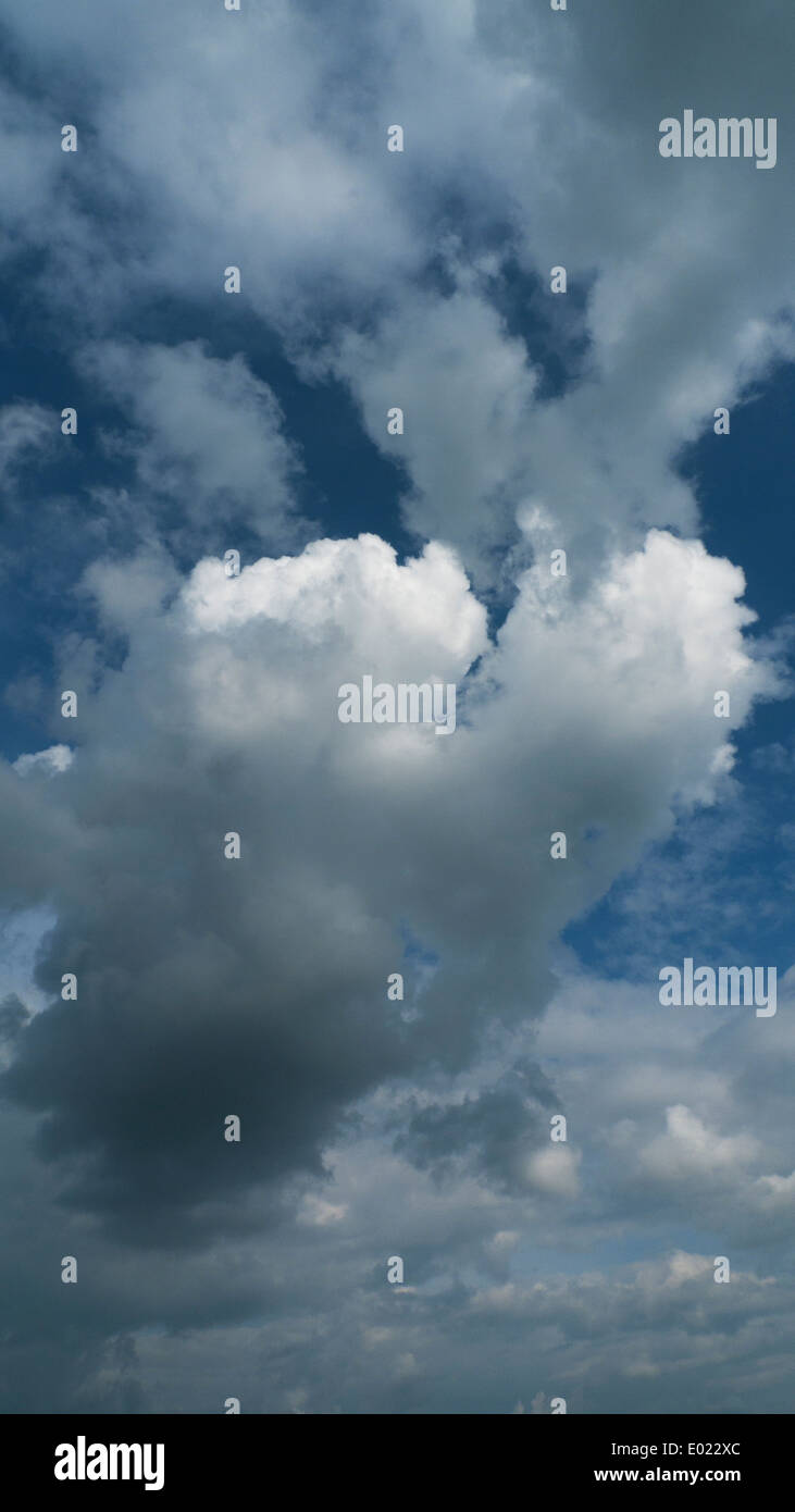 Puffy white cumulous clouds over a dark cloud in a blue afternoon sky ...