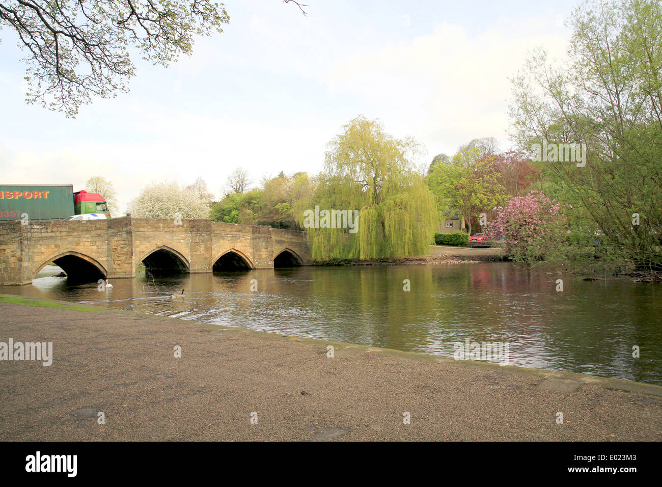 The arches of the Medieval bridge and Springtime flowering on the river ...