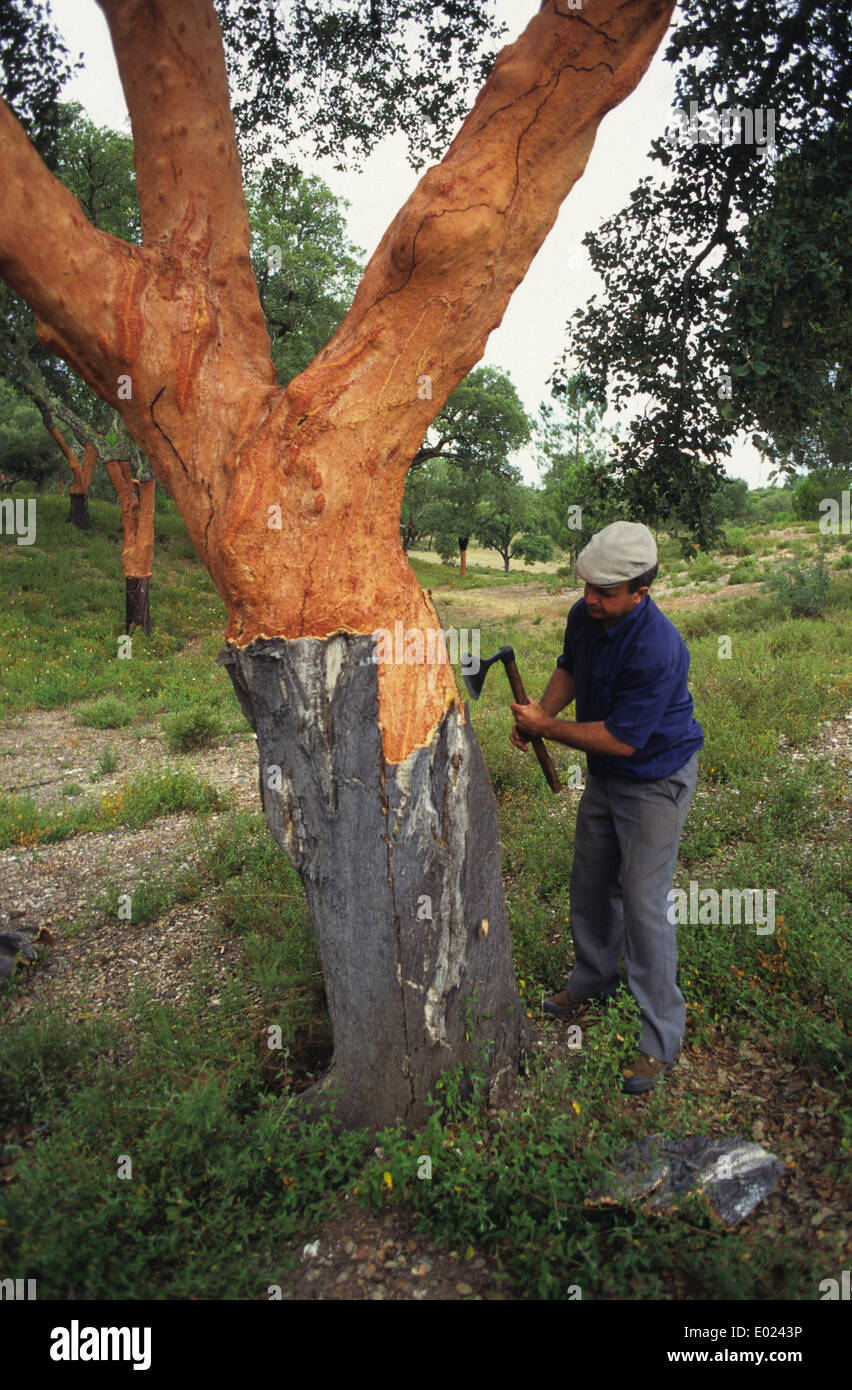 Corkstopper hi-res stock photography and images - Alamy