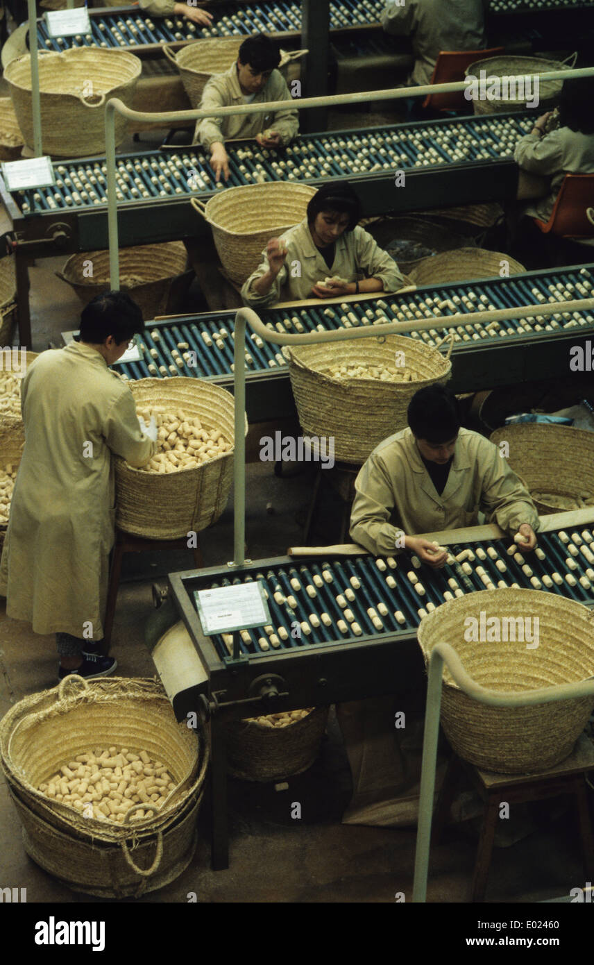 Cork factory portugal hi-res stock photography and images - Alamy