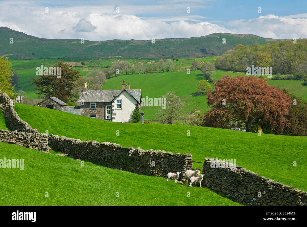 Kentmere wall hi-res stock photography and images - Alamy