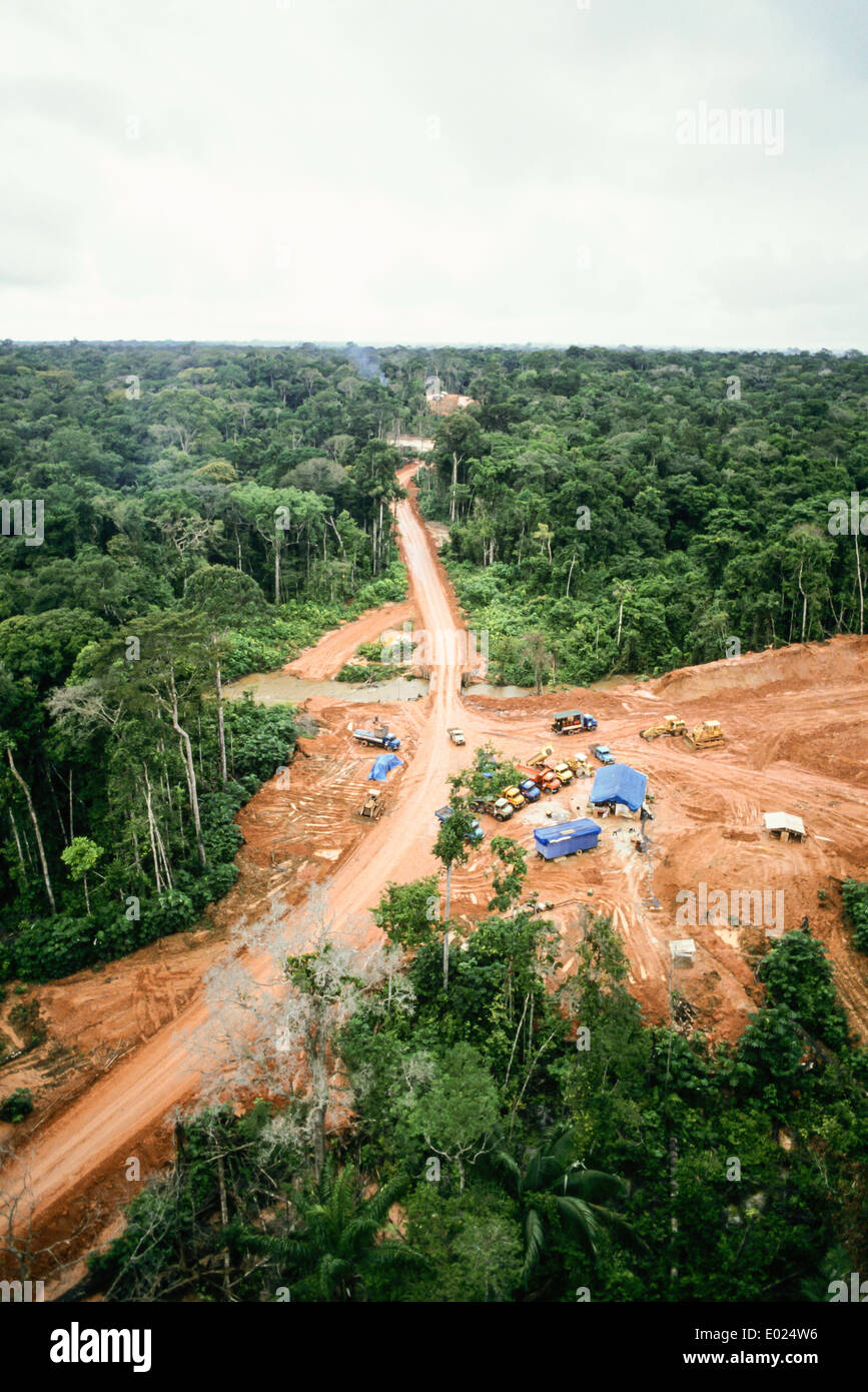 Amazon rainforest brazil bridge hi-res stock photography and images - Alamy