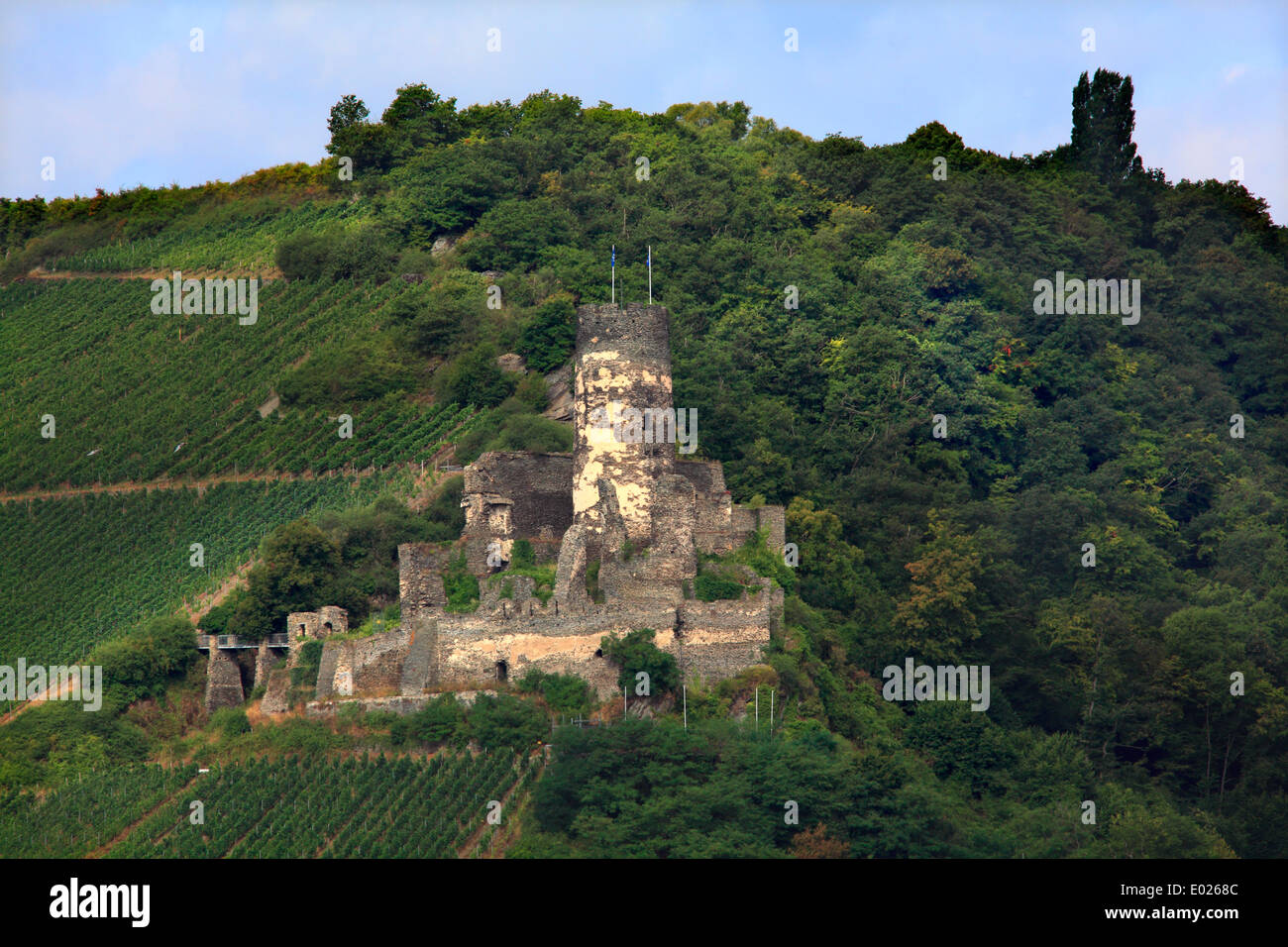 Photo of Furstenberg Castle ruins, above Rheindiebach, with vineyards ...
