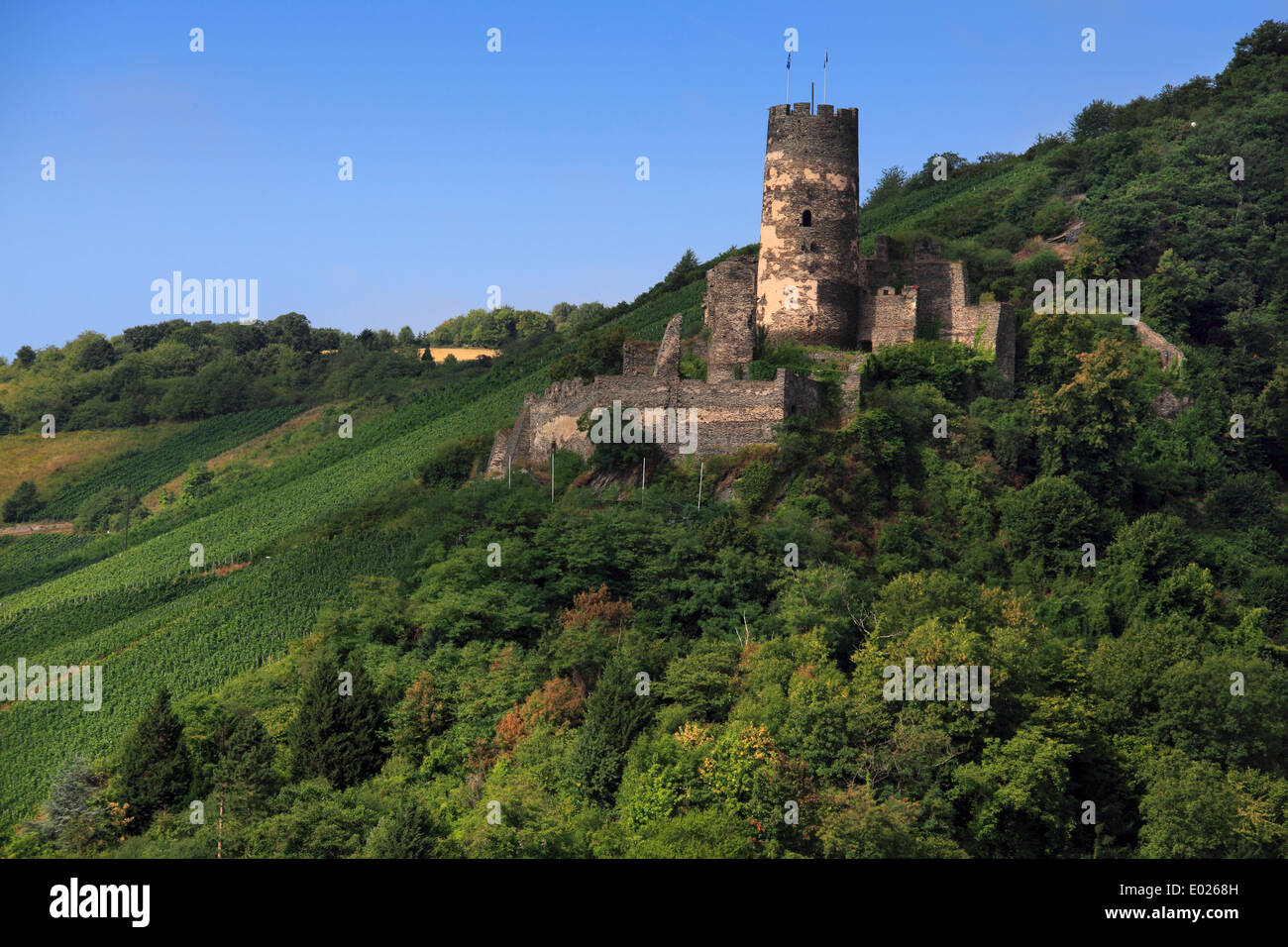 Photo of Furstenberg Castle ruins, above Rheindiebach, with vineyards ...