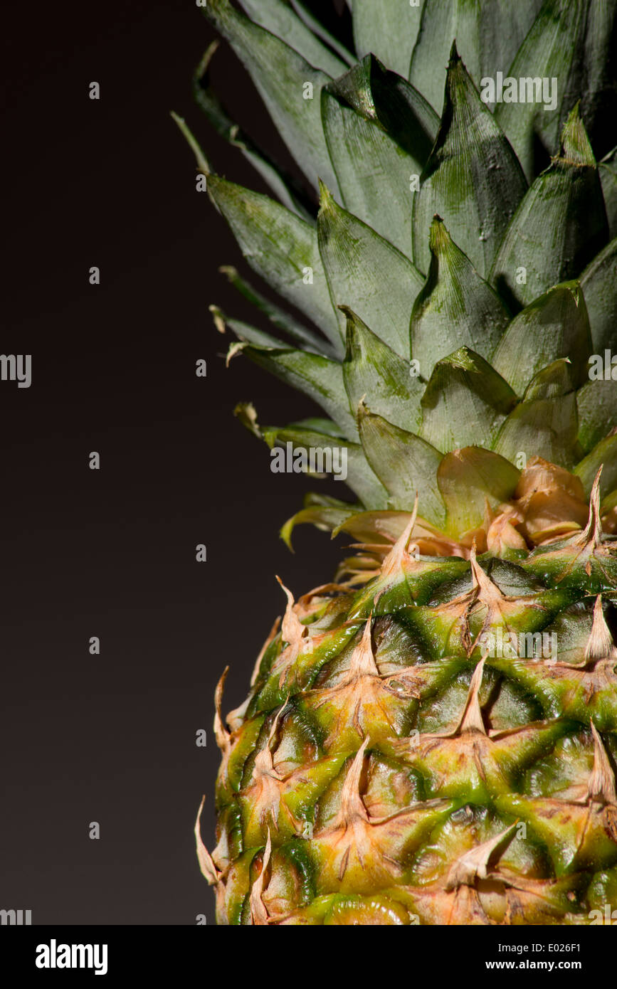 Close up picture of a pineapple Stock Photo - Alamy