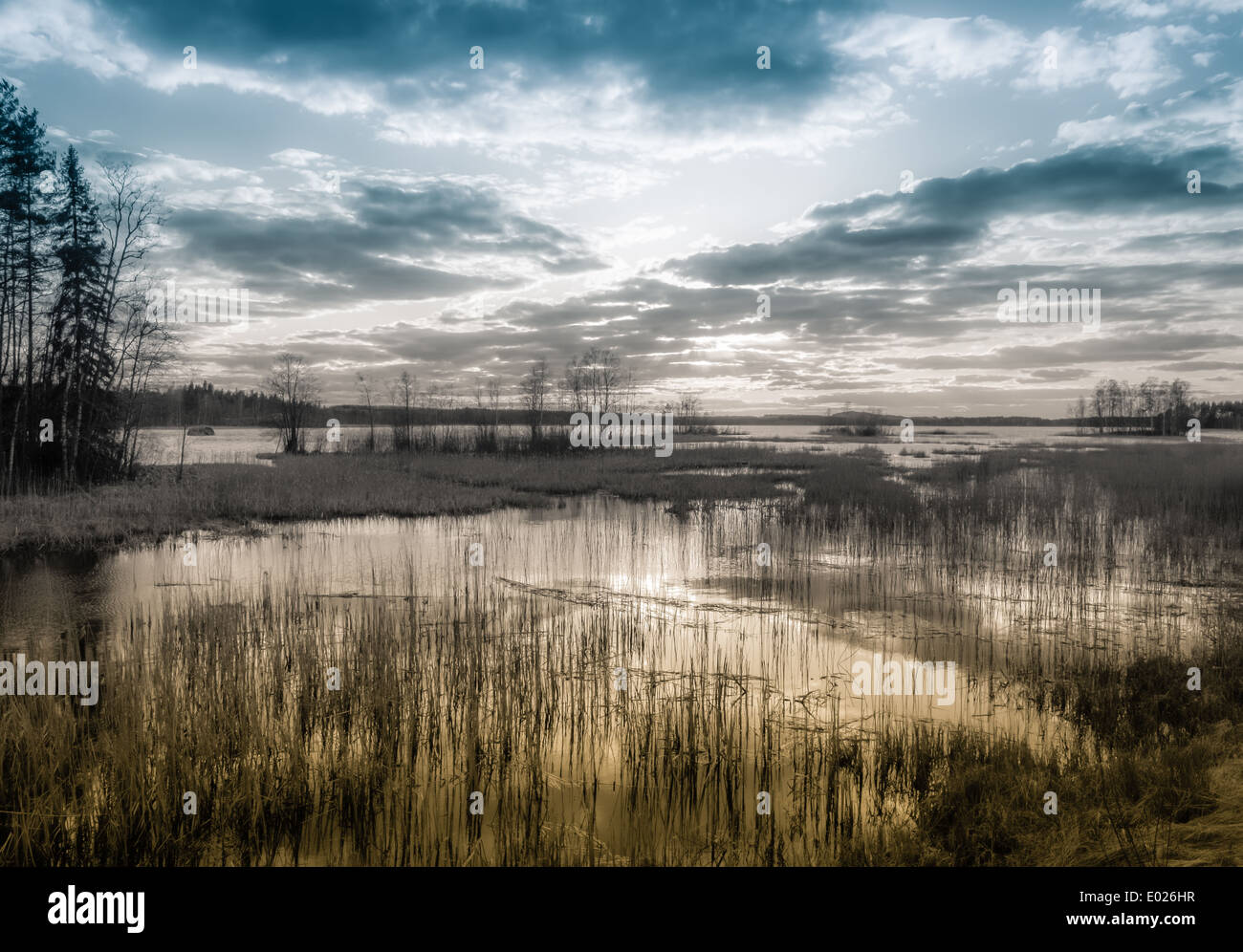 Gloomy water hi-res stock photography and images - Alamy