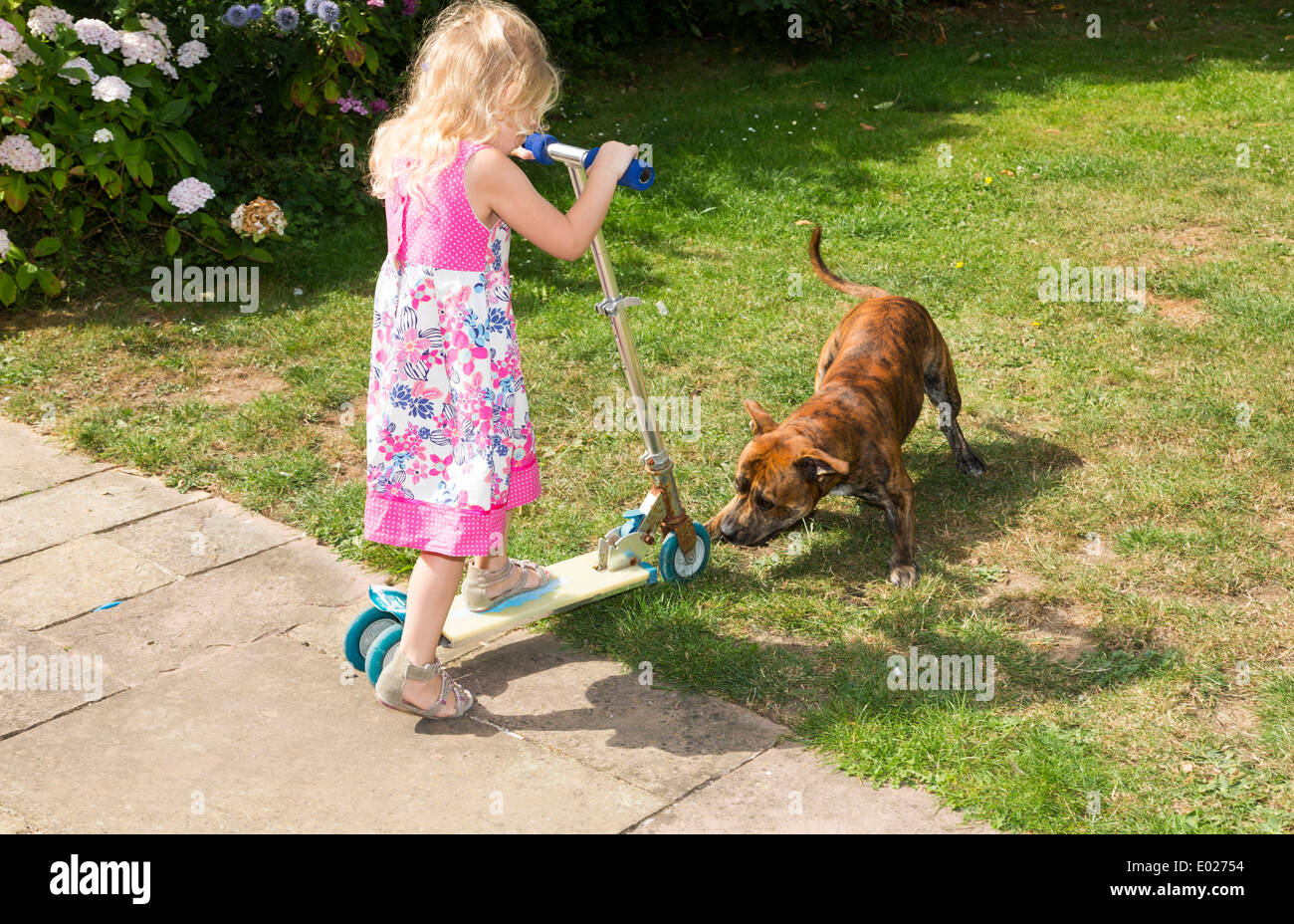 Tweenie High Resolution Stock Photography and Images - Alamy