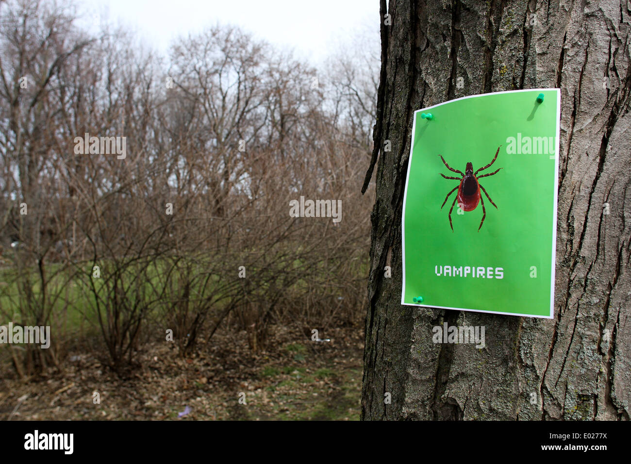 A Lyme Disease awareness poster in the Plateau of Montreal, Que Stock ...