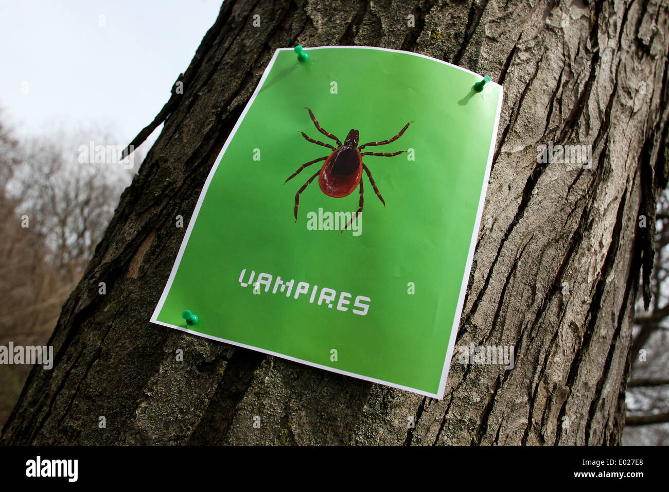 A Lyme Disease awareness poster in the Plateau of Montreal, Que Stock ...