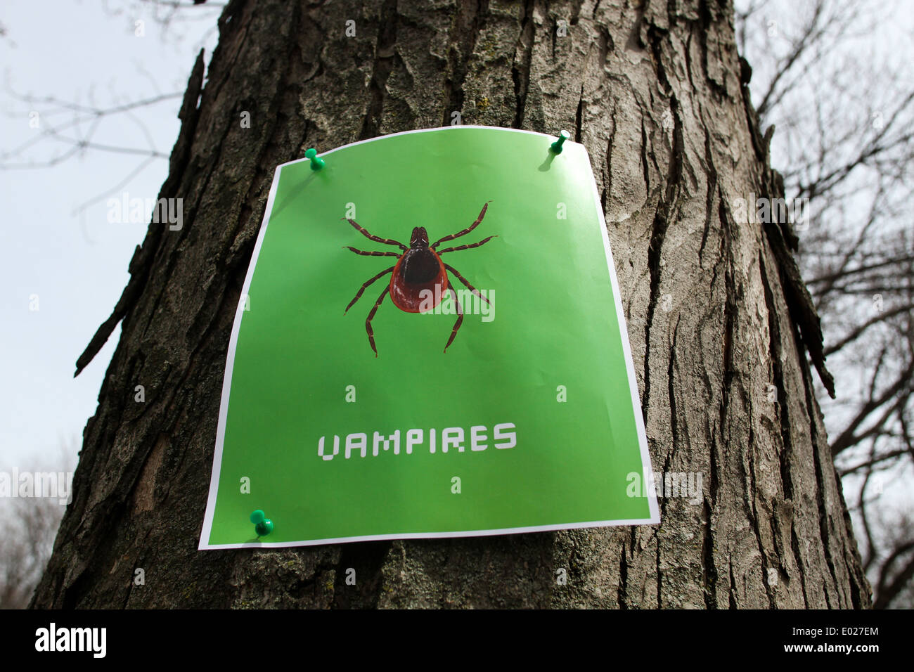 A Lyme Disease awareness poster in the Plateau of Montreal, Que Stock ...