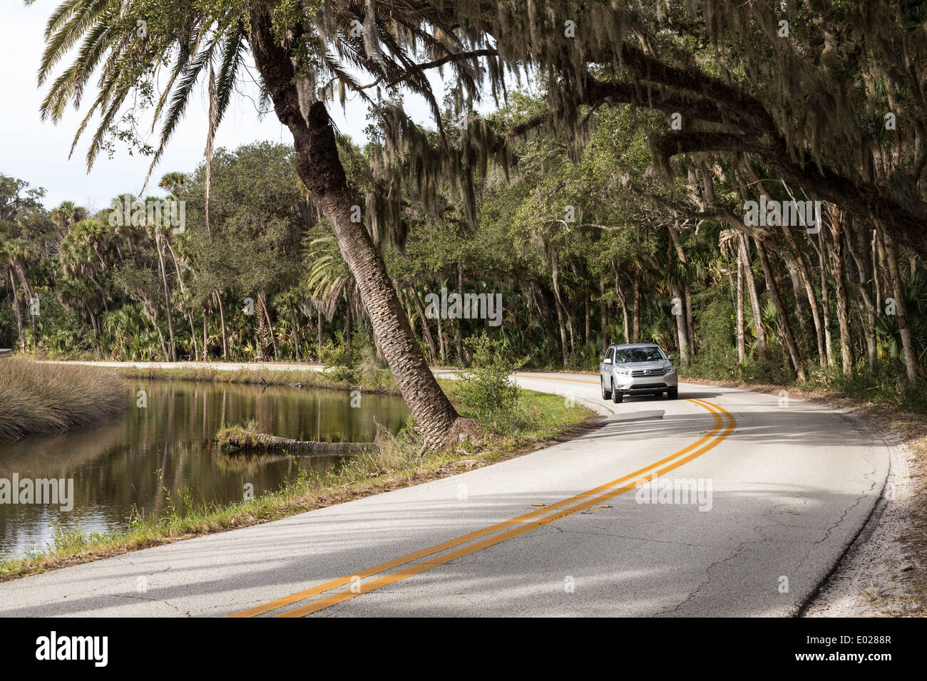 Curved Country Road in Northern Florida Stock Photo - Alamy