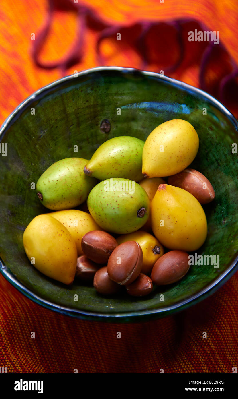 Fresh Argan nuts (Argania spinosa), peeled and unpeeled Stock Photo - Alamy