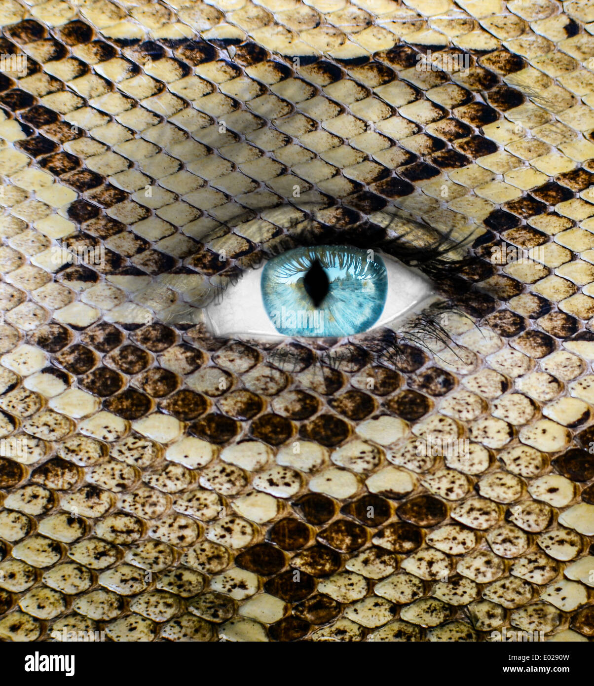 Anaconda Skin Pattern