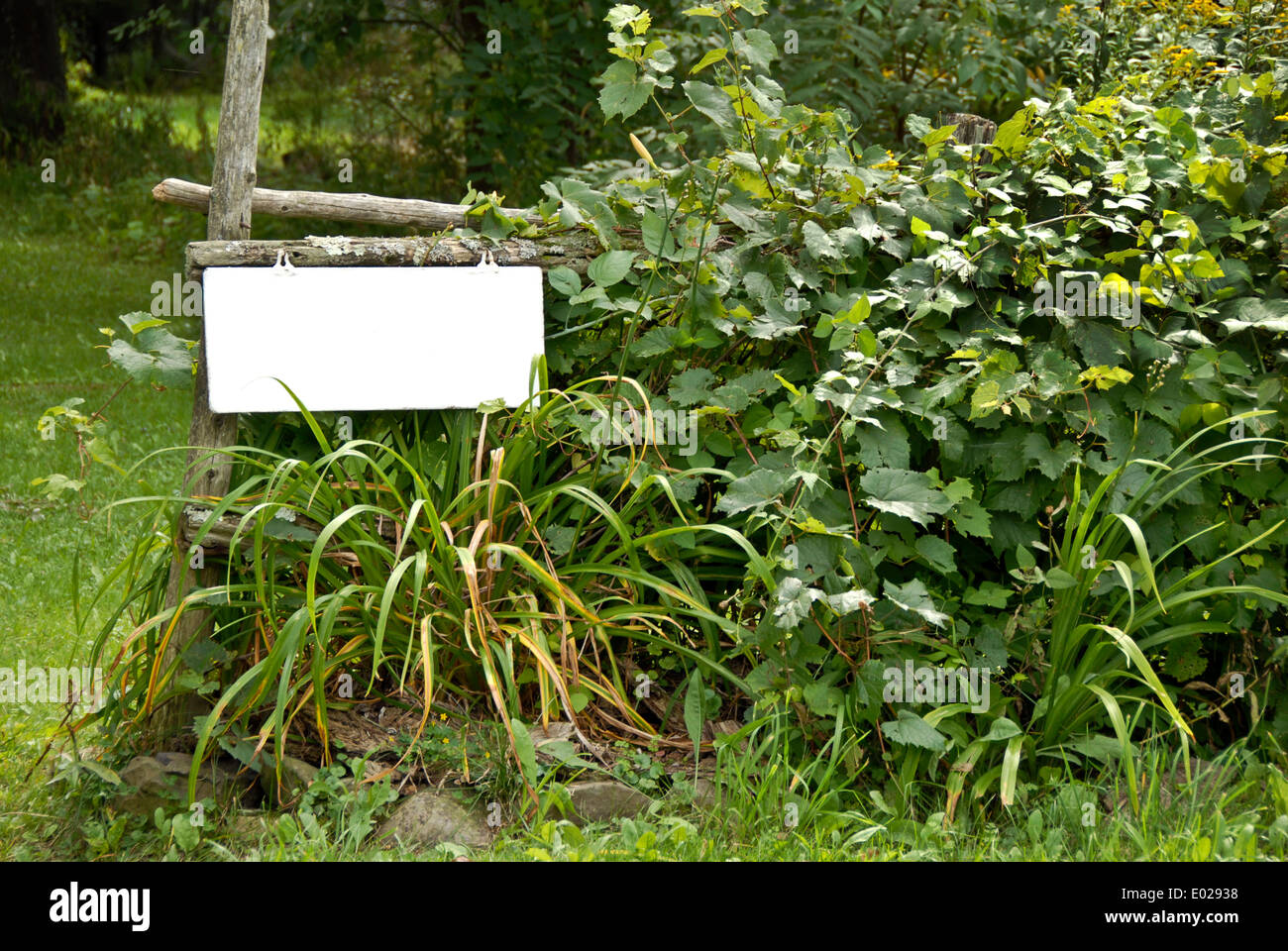 Advertising blank bush publicity poster hi-res stock photography and ...