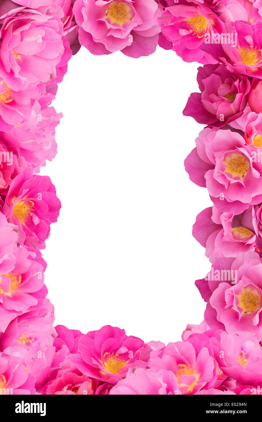 Red rose border frame hi-res stock photography and images - Alamy