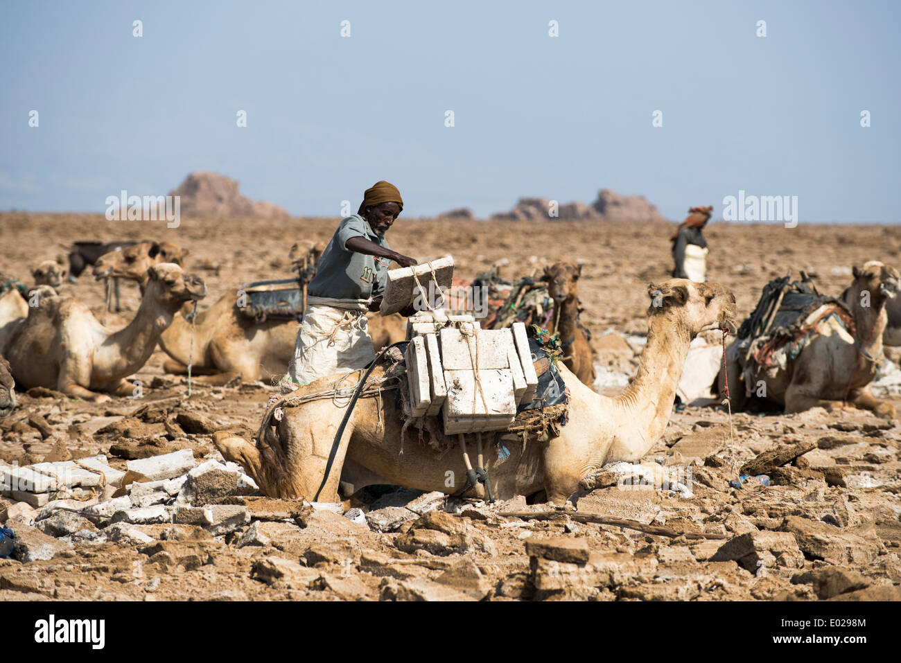 Salt mining in lake Asale in the Danakil depression Stock Photo - Alamy