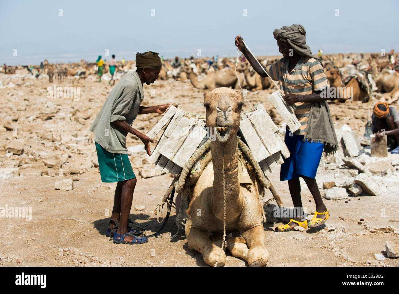 Lake asale hi-res stock photography and images - Alamy