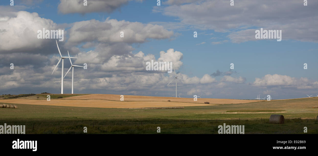 Panoramic view of a Great Plains landscape with wind turbines in Pierce ...