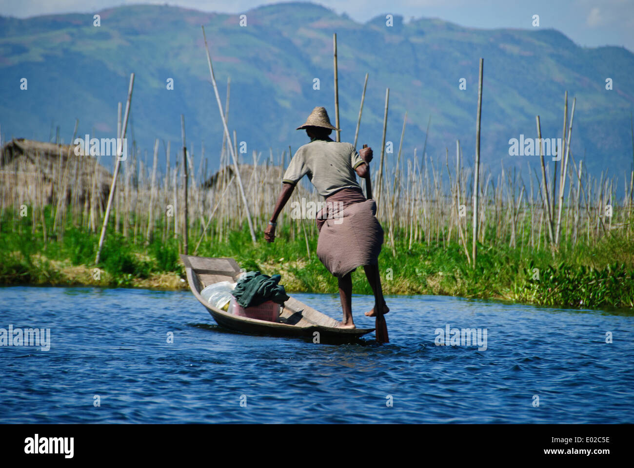 Leg-rowing technique, the uniqueness of Intha people of Inle Lake Stock ...