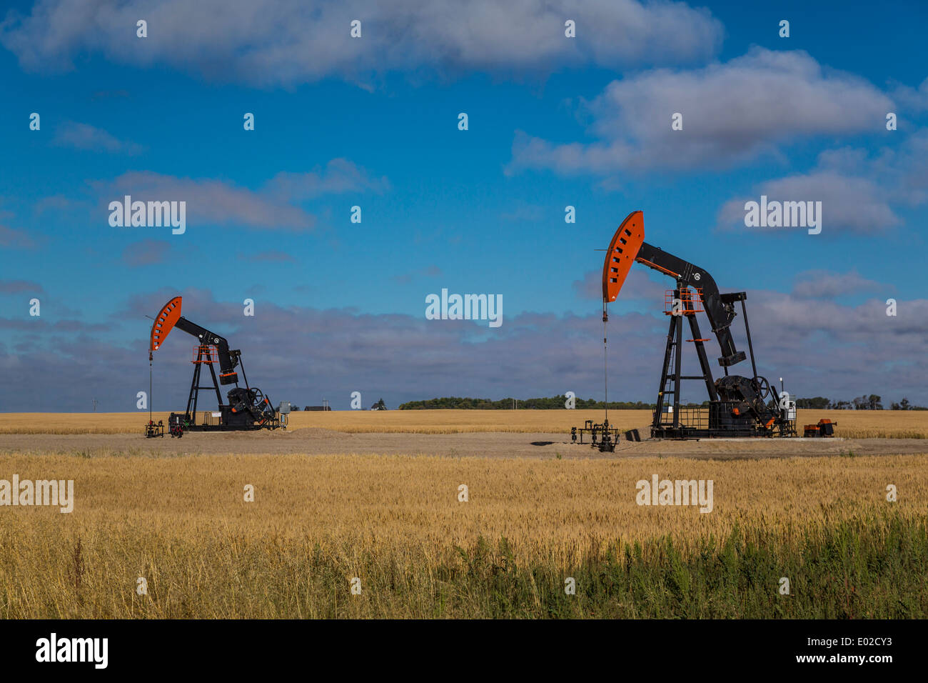An oil production pump jack in the Bakken play oil field deposits near ...