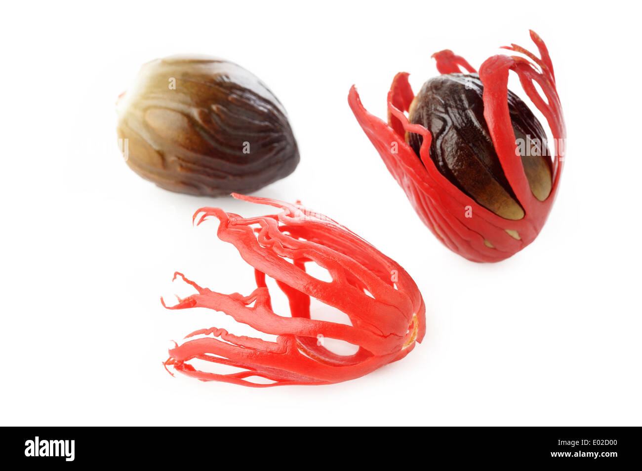 Fresh nutmeg seeds on white background Stock Photo - Alamy