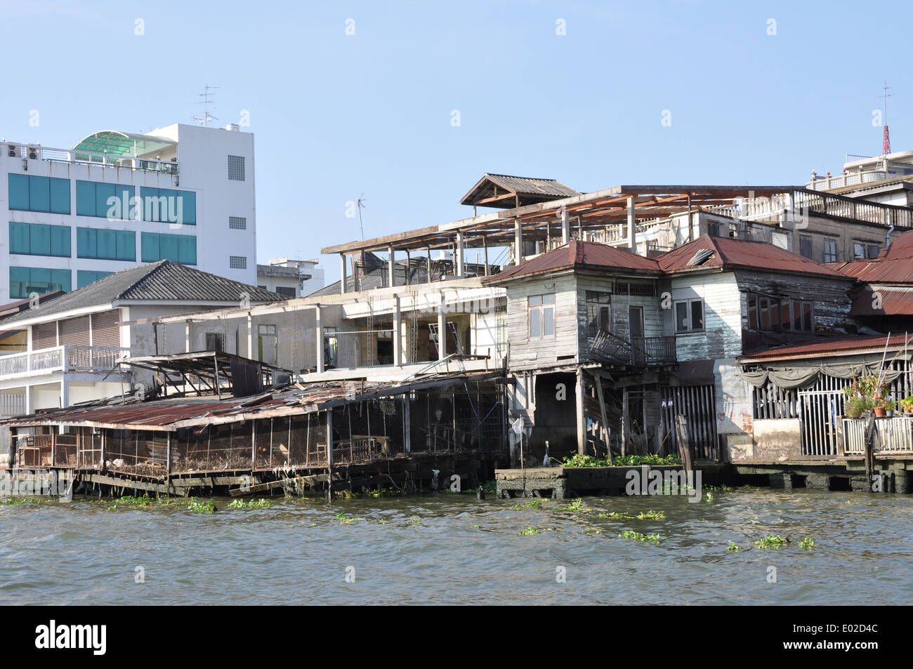 Wooden shanty house on the Chao Phraya River, Bangkok, Thailand Stock ...