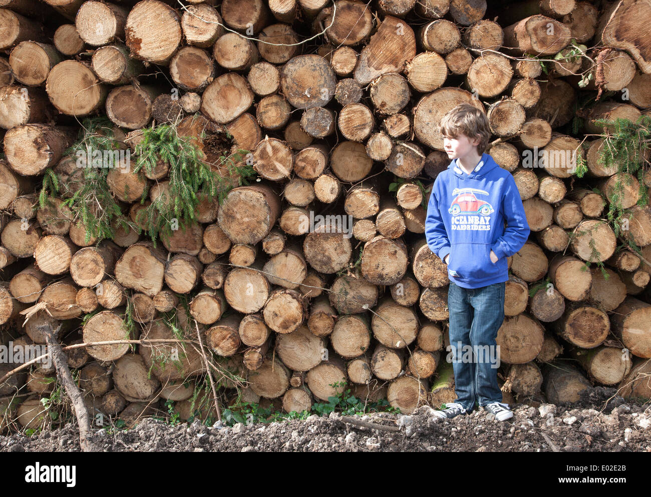 Young Boy standing in woodland by logs Stock Photo - Alamy