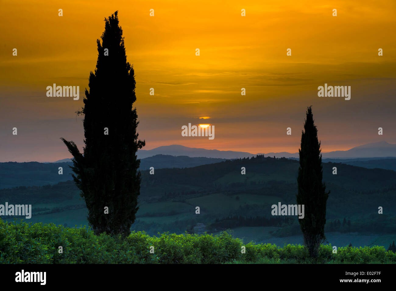 Sunset cypress hi-res stock photography and images - Alamy