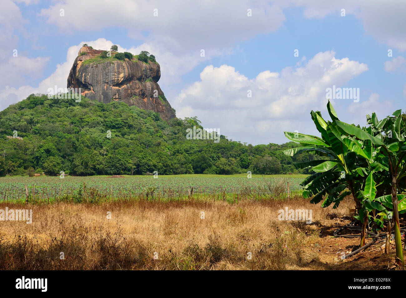 The Lion Rock, the magma block of an eroded volcano, with the ruins of ...