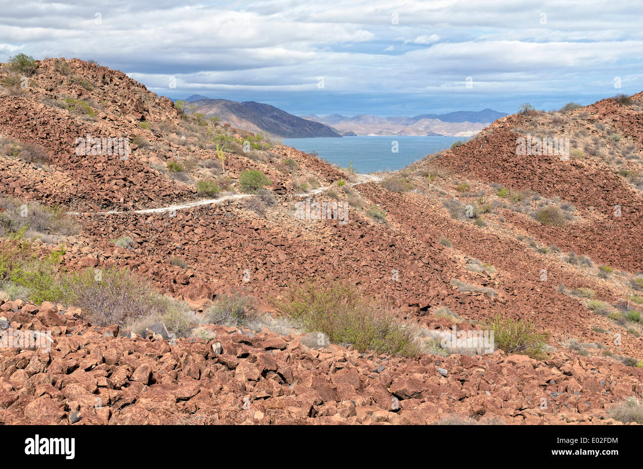 Baja california landscape mexico hi-res stock photography and images ...
