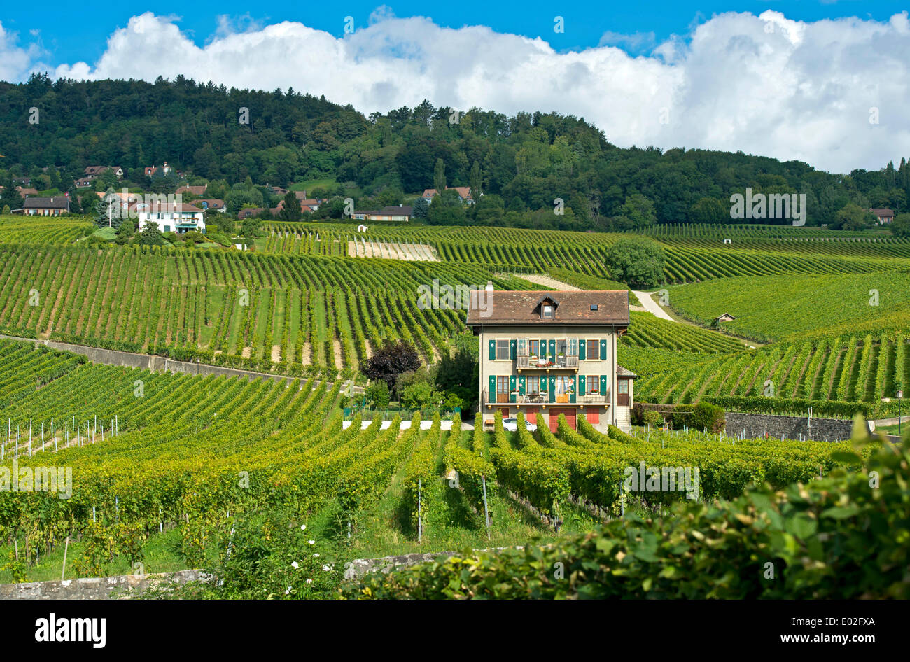 Kanton vaud hi-res stock photography and images - Alamy