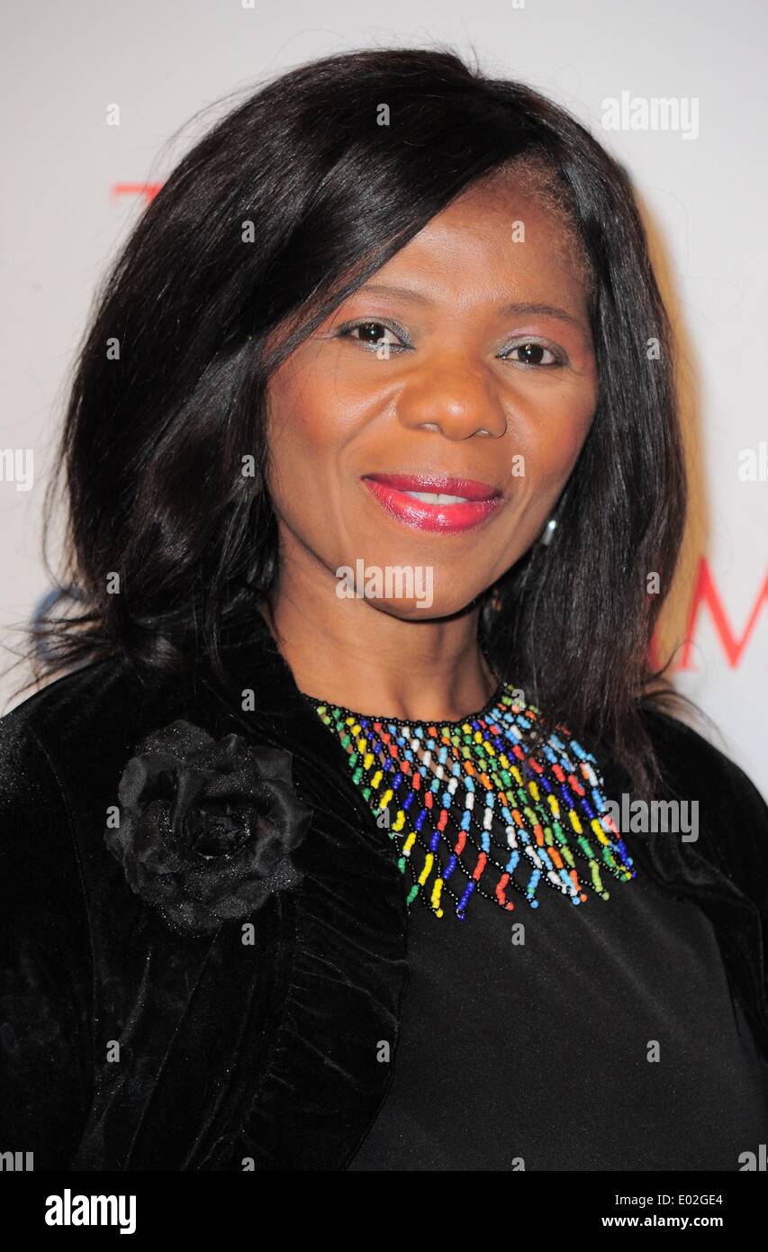 Thuli madonsela hi-res stock photography and images - Alamy