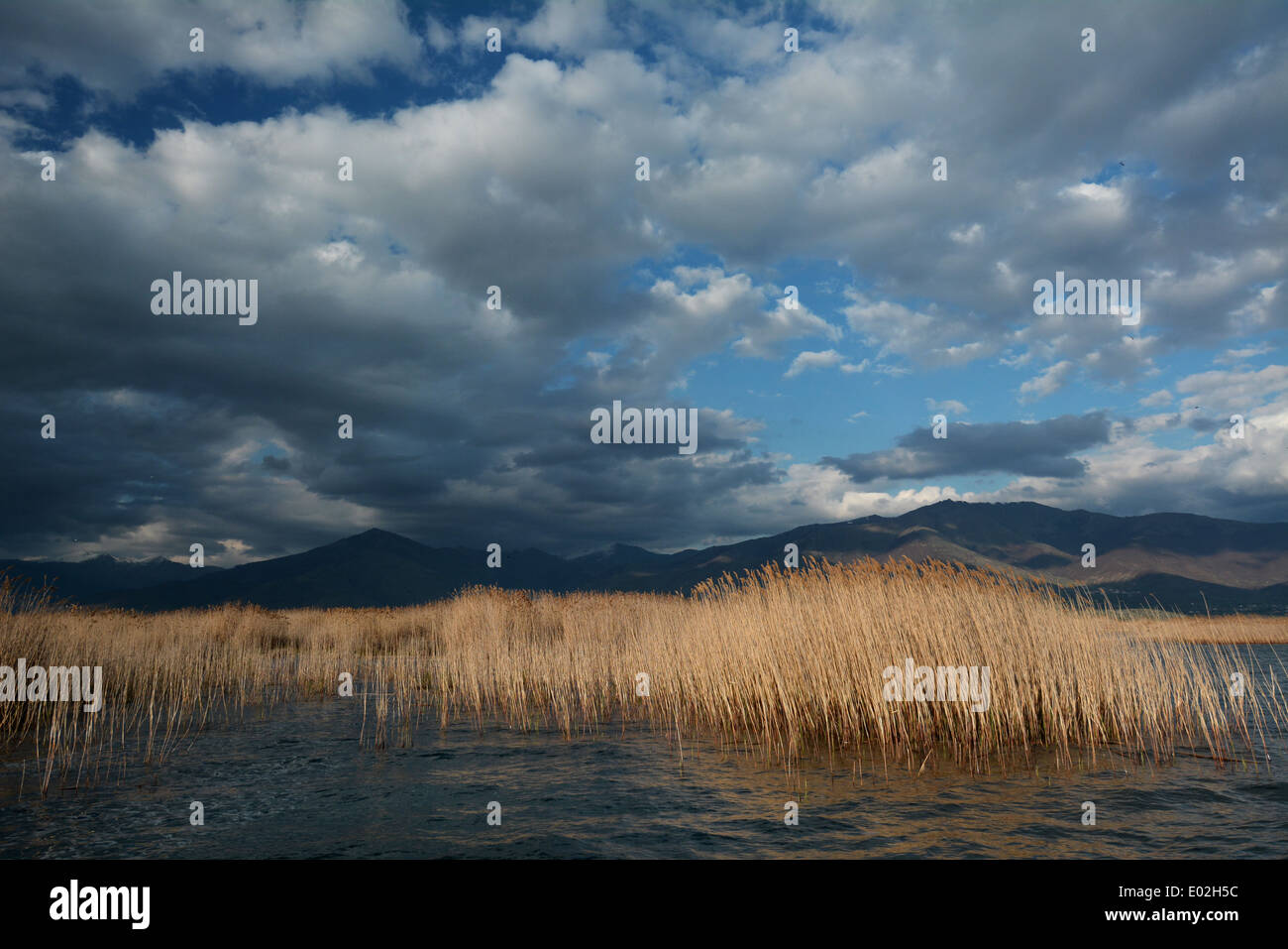 Mikri Prespa lake, Greece Stock Photo - Alamy