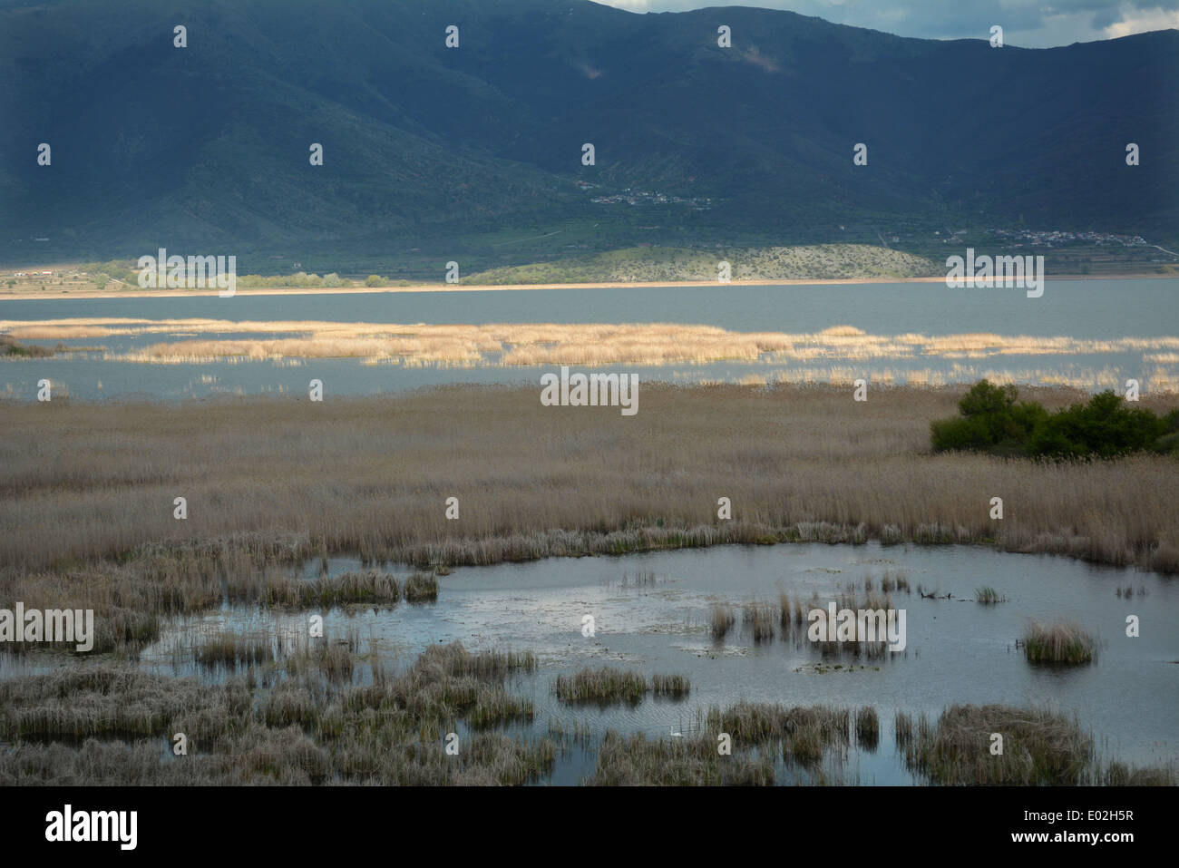 Prespa national park greece hi-res stock photography and images - Alamy