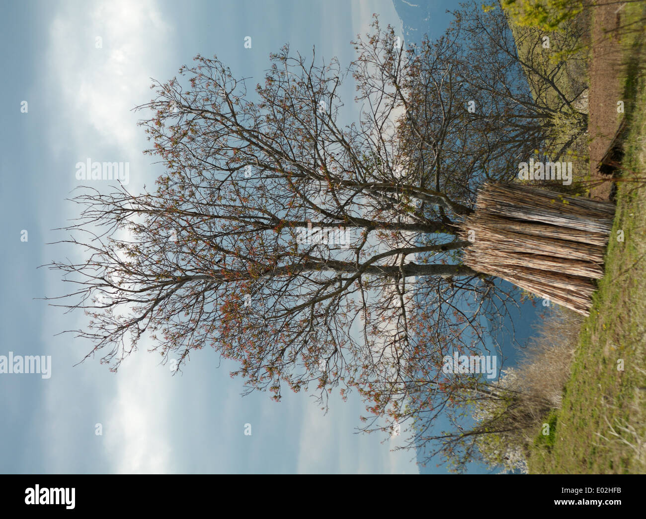 Agios Germanos, Prespes, Greece Stock Photo - Alamy