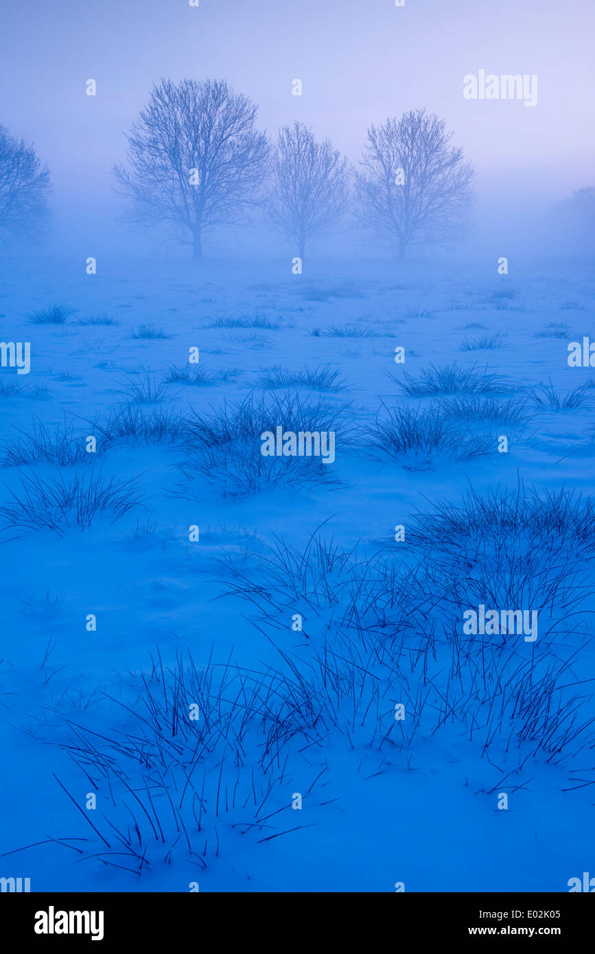 Vechta district hi-res stock photography and images - Alamy