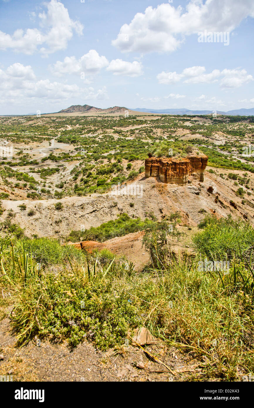 Olduvai gorge hi-res stock photography and images - Alamy
