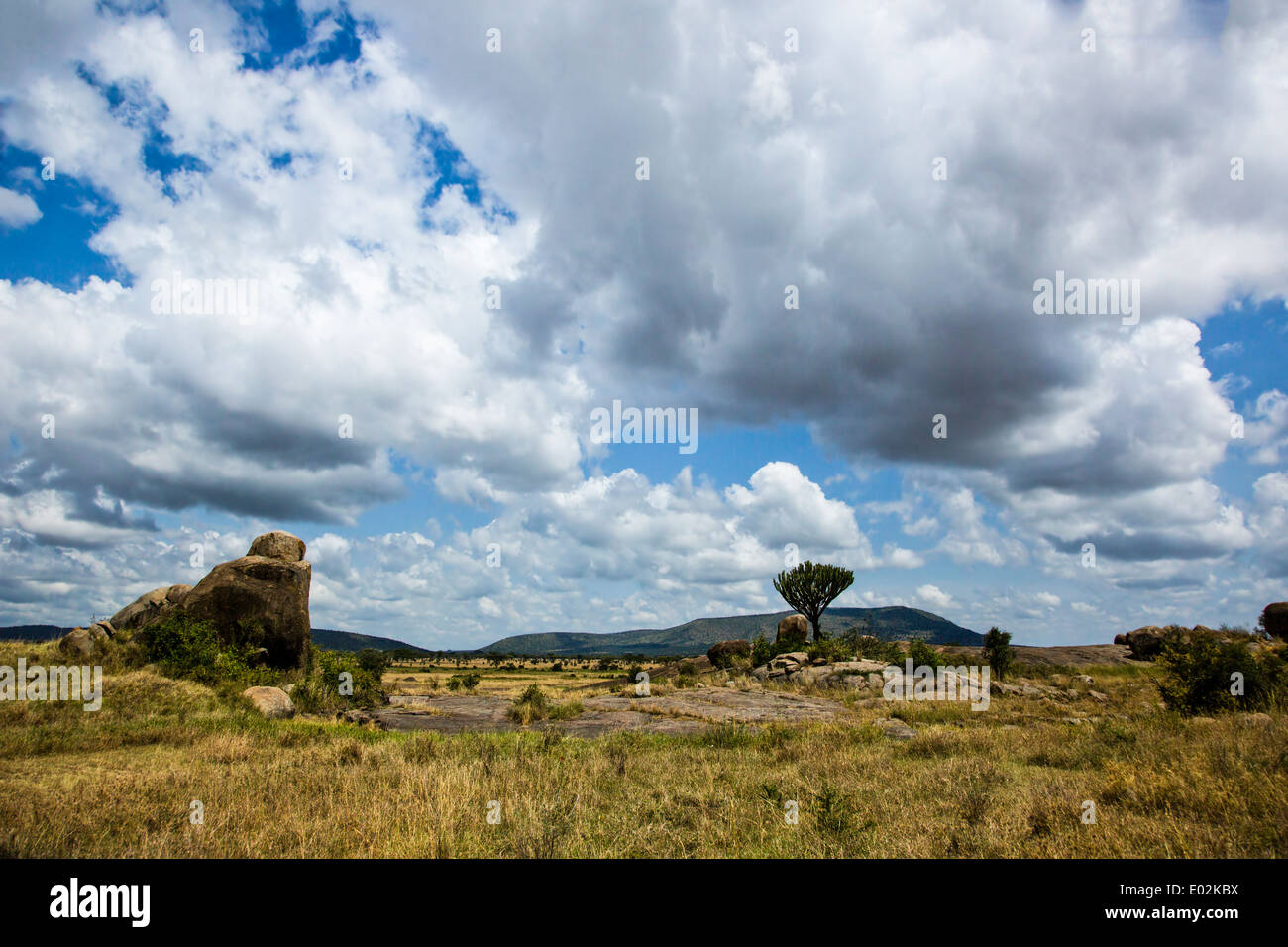 Kopje rocks in serengeti hi-res stock photography and images - Alamy