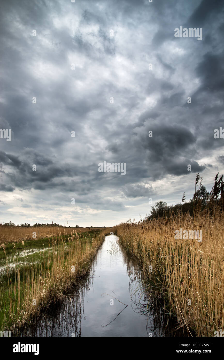 Dark dramatic landscape stormy sky over wetlands Stock Photo - Alamy